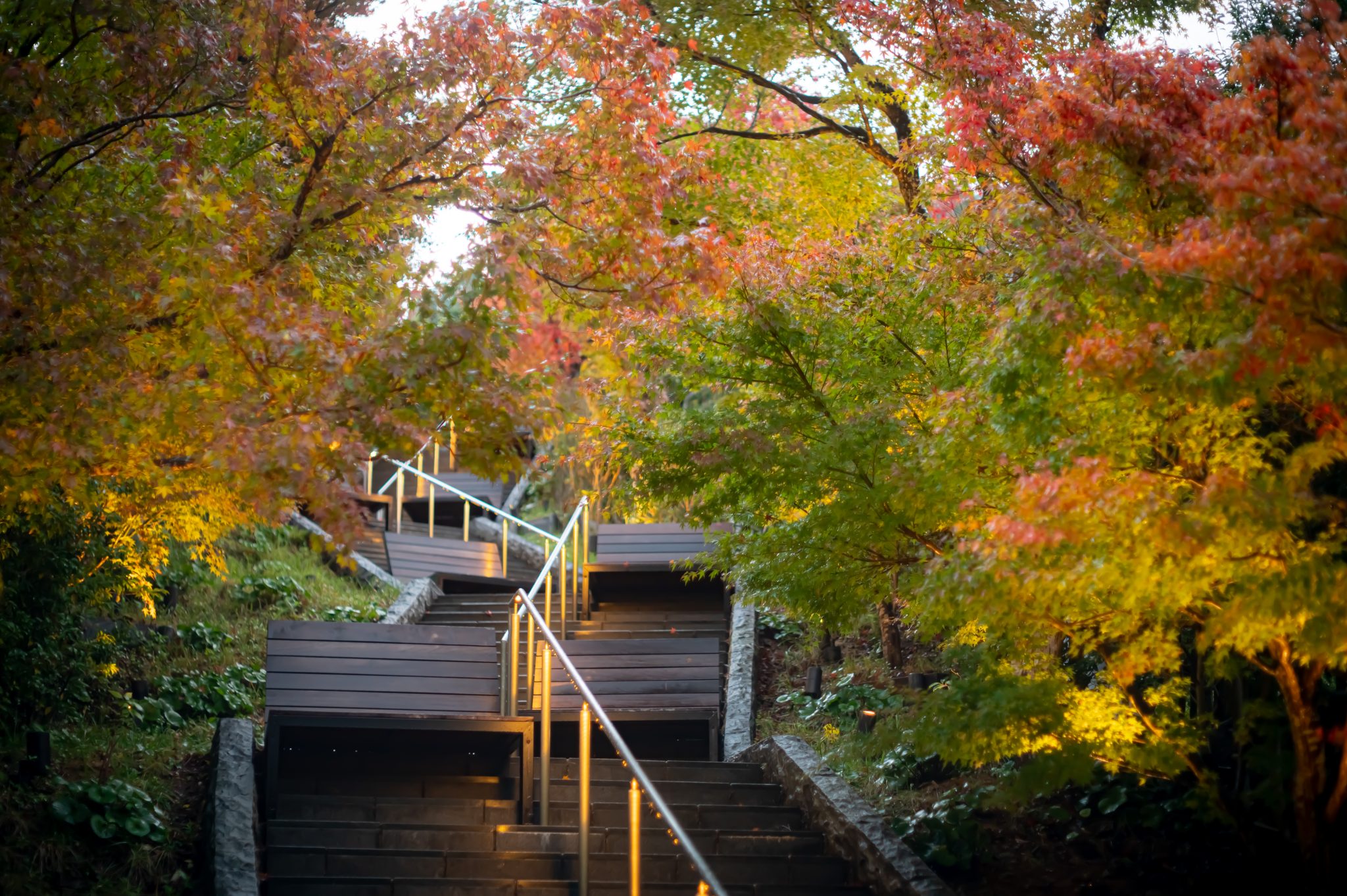 【アーカイブ】山口・長門市内の紅葉情報2024 | 山口県長門市観光サイト ななび